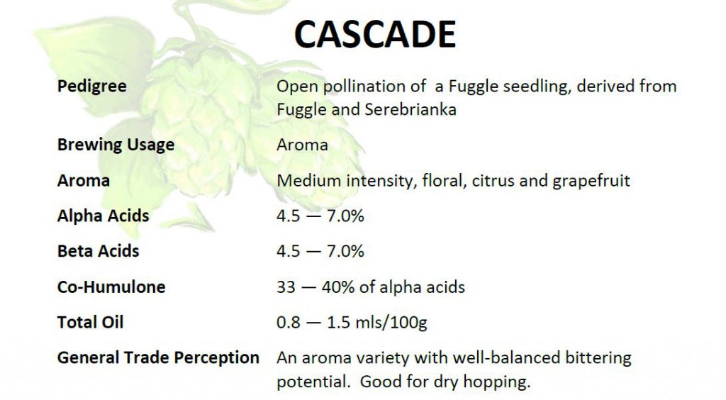 IBU (International Bitterness Unit) nedir? – Birazbira
